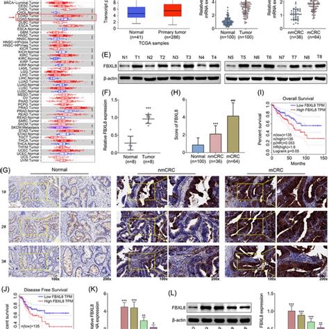 Cgview Genome Circle Map Of S Albulus Cicc11022 Download Scientific