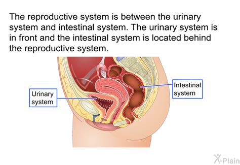 Rectocele Surgery