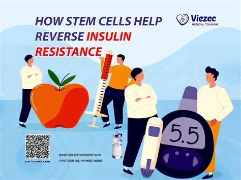 Stem Cell Vs Bone Marrow Transplant Key Differences Explained