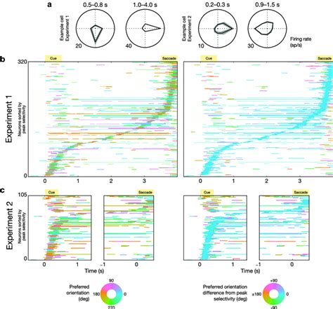 Single Neuron Selectivity Analysis Reveals Neurons With Time Varying