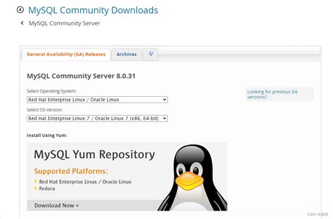 Linux Centos系统安装mysql8031（tar方式）linux怎么部署mysql8 0 31 Csdn博客