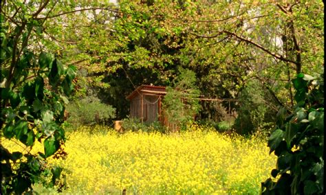 Πολύδροσο Cinobo