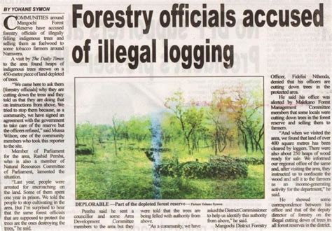 Forestry Officials Accused Of Illegal Logging