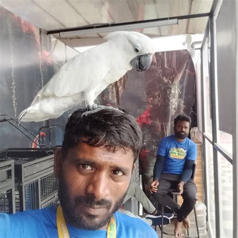 Kurma Tirupathi Kurma3968 • Threads Say More