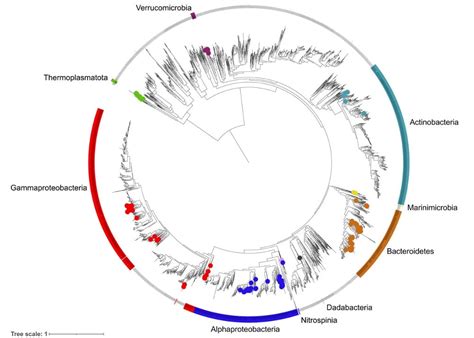 Microbial Sequencing Methods Archives Pacbio