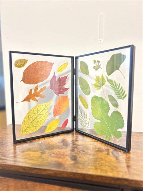 Nature Pressed Leaf Mural Pressed Leaf Art Framed Leaves Eco Art Fall Leaves Pressed Leaf