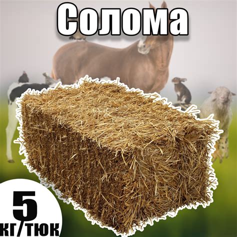 Солома для с/х животных 5 кг. Подстилка для собак лошадей кроликов кур ...