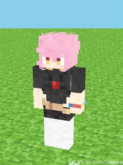 妖精管理局：第一批minecraft维度成精名单公布！ 哔哩哔哩