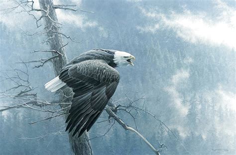 Air The Forest And The Wind 1989 Limited Edition Lithograph By Robert