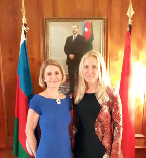 Ms Violeta Wagner Mobilaze Project Icmpd In Azerbaijan Facebook