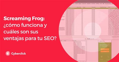 Screaming Frog ¿cómo Funciona Y Cuáles Son Sus Ventajas Para Tu Seo