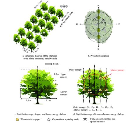 schematic diagram of test methods 2 4 1 elm canopy sampling method each