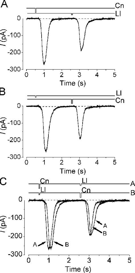 Figure 7 From Cross Adaptation Between Olfactory Responses Induced By