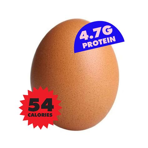 Feisty Protein Soda Feisty Drinks