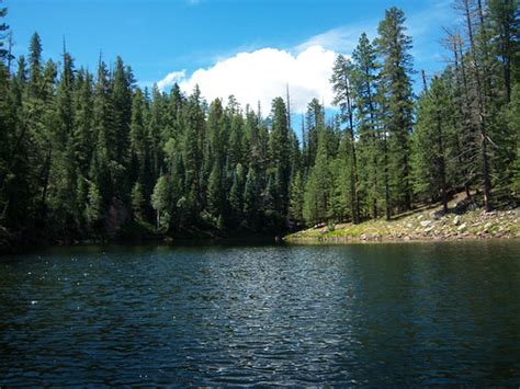 Knoll Lake This Secluded Forest Lake Is Surrounded By Pond Flickr