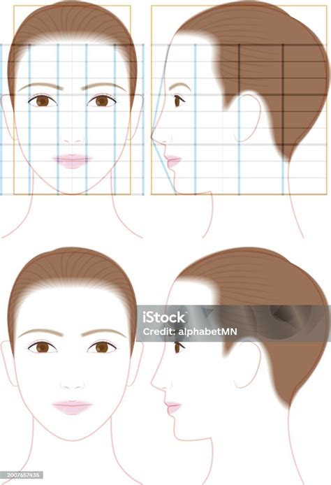 Profile And Front Face Of A Woman With A Gentle Impression Illustration