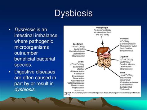 Ppt Probiotics Powerpoint Presentation Free Download Id6591007