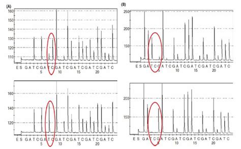 [보고서]차세대 염기서열 분석법을 활용한 결핵균의 신속검출법 및 분자역학특성 분석에 관한 연구