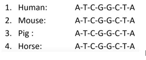 Bio 241 Lab Final Flashcards Quizlet