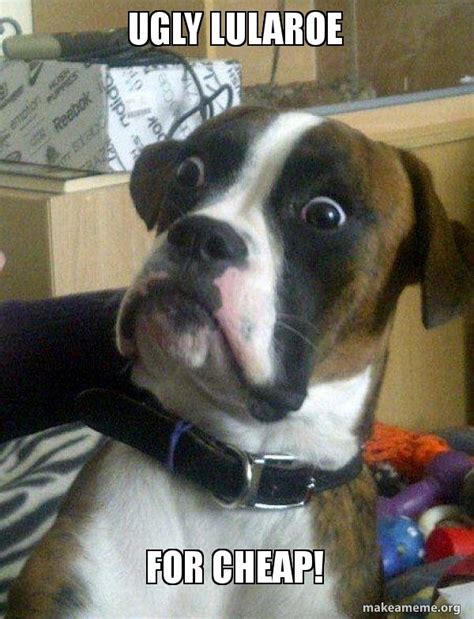 Ugly Lularoe For Cheap Skeptical Dog Meme Generator