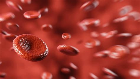 Hemoglobin Level This Is The Smartest Way To Maintain It