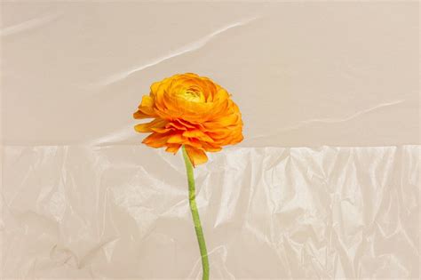 Paper Texture Effect Premium Photo Effects And Filters Rawpixel