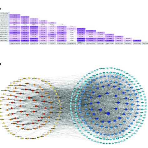 The Results Of Connectivity Map Cmap Analysis Download Scientific Diagram