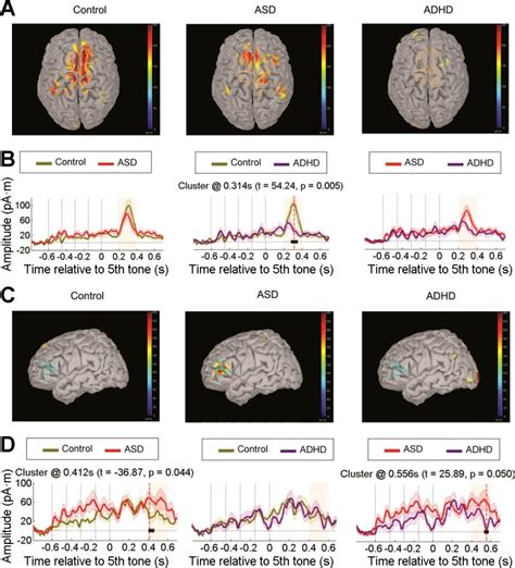 Predictive Coding In Autism Spectrum Disorder And Attention Deficit Hyperactivity Disorder Pmc