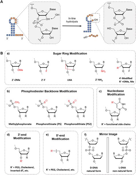 The Chemical Modification Of Aptamers For Improved Stability A The