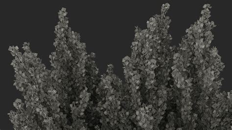 Ginkgo Tree Yellow 3d Model 39 3ds Blend C4d Fbx Max Ma Lxo