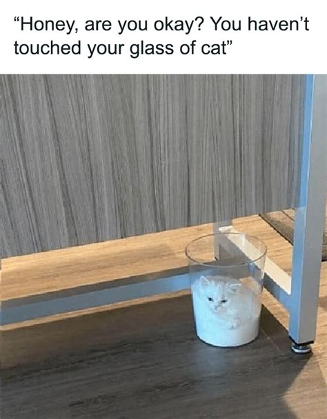 50 Funny “uncomfortable Memes” To Make You Laugh As Shared On This
