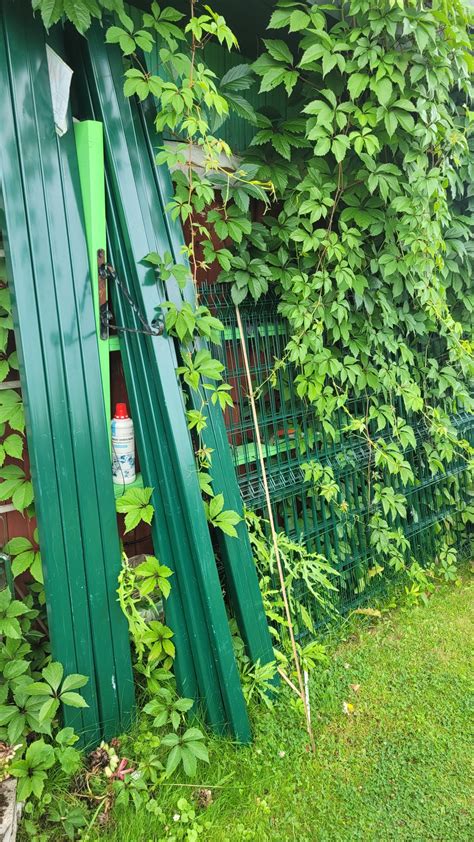 Keevispaneeli Ja Postide Paigaldus Hangeee