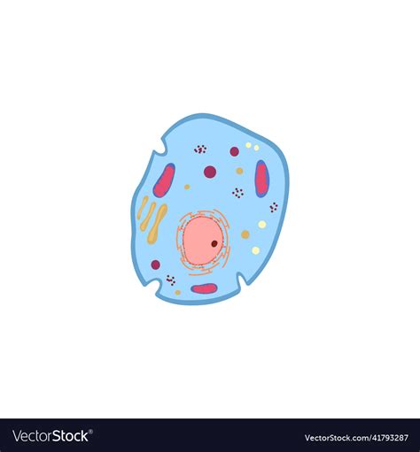 Unicellular Cells