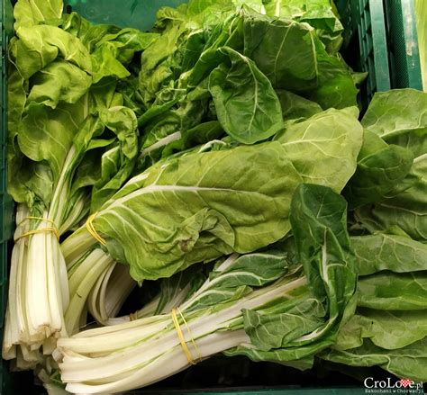 Blitva W Chorwacji Zielony Dodatek Do Potraw Crolove Pl