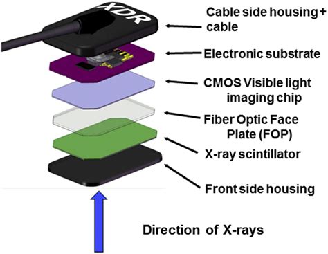 Digital Radiographic Image Processing And Analysis Dental Clinics