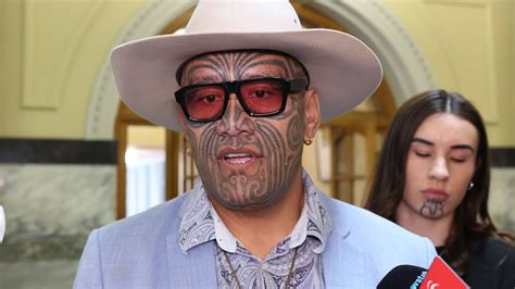 Labour Mp Shanan Halbert Accuses Te Pāti Māori Of Starting To Create ‘exclusive Bunch Of Māori