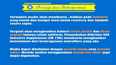 Hichrome Ecc Selective Agar Base Ppt