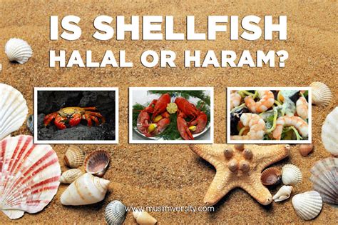 Is Seafood Halal Crab Lobster Shark Octopus Oyster Sushi
