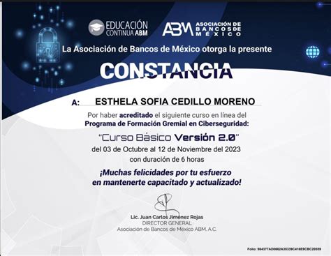 Ciberseguridad Seguridaddelainformación Esthela Sofia Cedillo Moreno