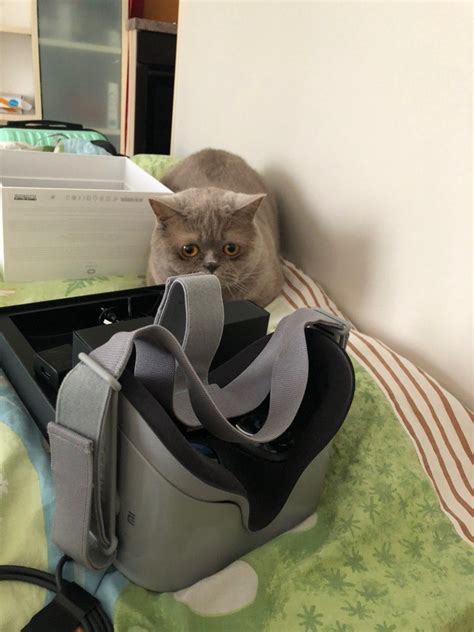 Preprocessing Mri In Python There Are A Couple Of Tricks That Ive By Anna Zapaishchykova Preprocessing Mri In Python There Are A Couple Of Tricks That Ive By Anna Zapaishchykova