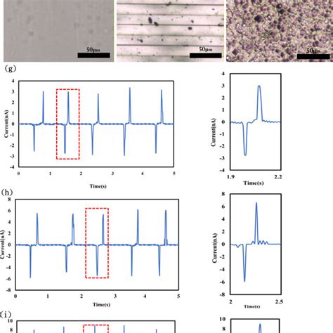 A Schematic Of Three Topologically Different Surfaces As Follows A