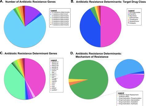 Analysis Of Acinetobacter P Type Type Iv Secretion System Encoding Plasmid Diversity Uncovers