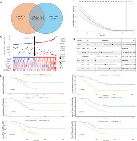 Development And Validation Of An Immune Related Gene Based Model For Predicting Prognosis And