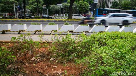Duh Tanaman Trotoar Sudirman Dekat Gbk Rusak