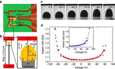 Experimental Setup A Image Recorded In A Light Microscope Showing A