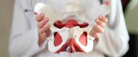 What Is Pelvic Organ Prolapse