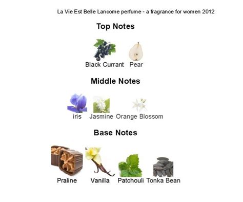 Lancome La Vie Est Belle Generic Inspired