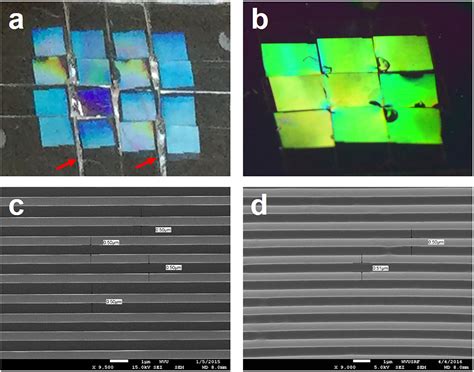 Expanding Nanopatterned Substrates Using Stitch Technique For Nanotopographical Modulation Of