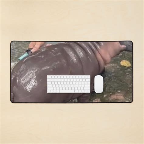 Moo Deng The Greatest Bite Force Sticker For Sale By Spiderdudejung Redbubble