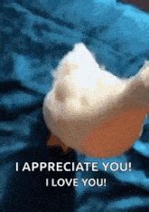 I Love And Appreciate You S Tenor